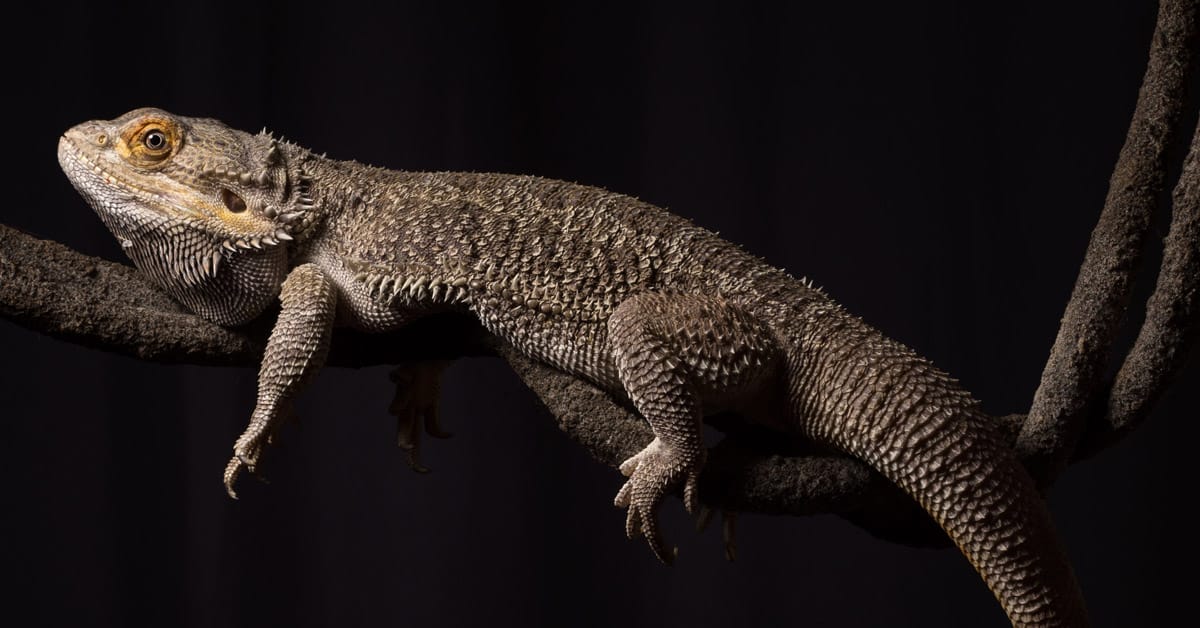 Kelley Create Modern Office Tour: Billings, MT